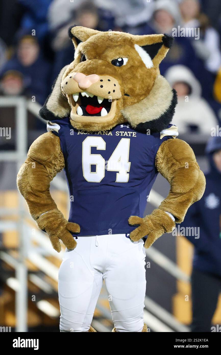January 06, 2025: The Montana State Bobcats' mascot during a game ...