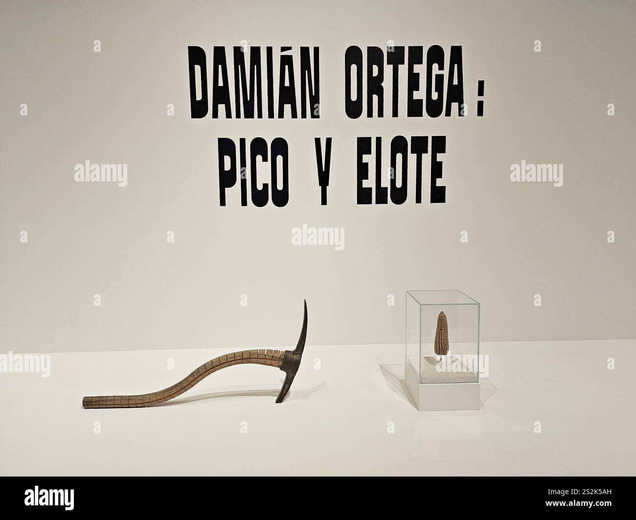 Mexico City, Mexico - Jul 12 2024: Exhibition "Demian Ortega: Pico y ...