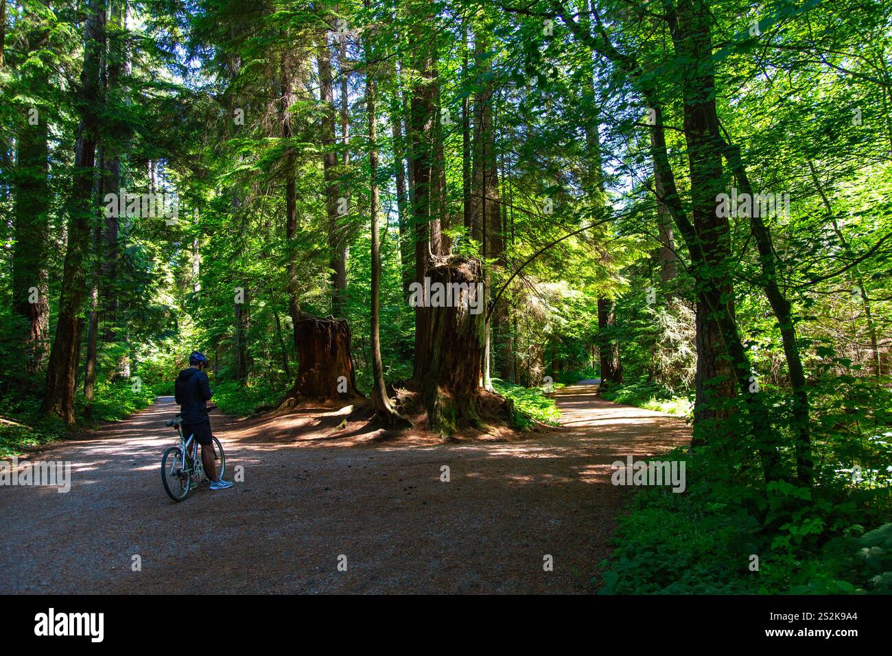 Choosing route hi-res stock photography and images - Alamy