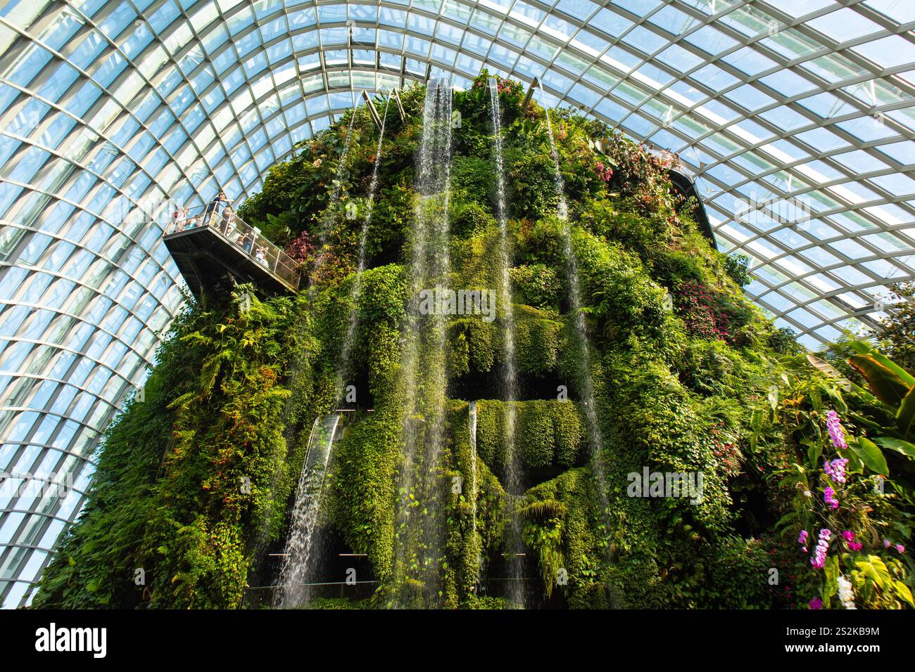 Cloud Forest, Gardens by the Bay, Singapore Stock Photo - Alamy