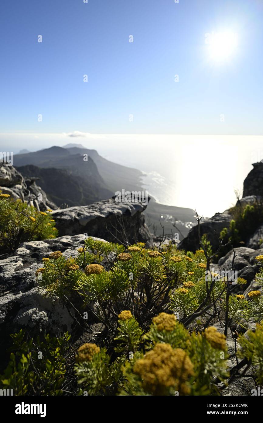 Top view from the peak of table mountain in cape town Stock Photo - Alamy