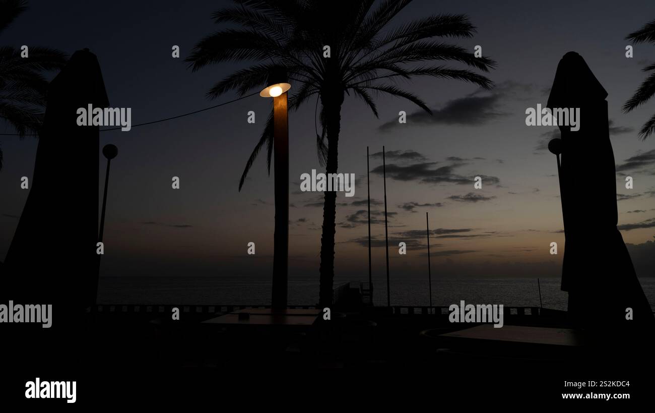 Evening sky trees hi-res stock photography and images - Alamy