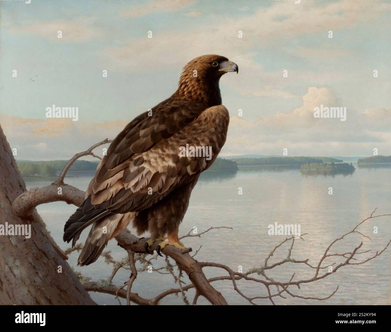 Ferdinand von Wright - Golden Eagle by a Lake Stock Photo - Alamy