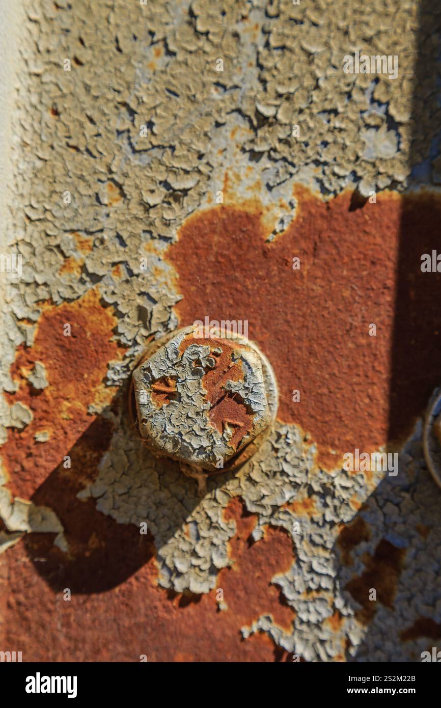 A rusty bolt is sitting on a rusted surface. The bolt is surrounded by ...