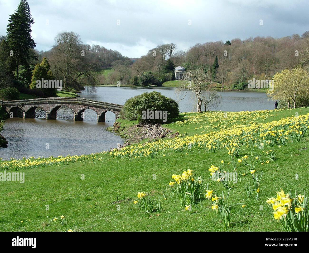 Stourhead lake daffodils hi-res stock photography and images - Alamy