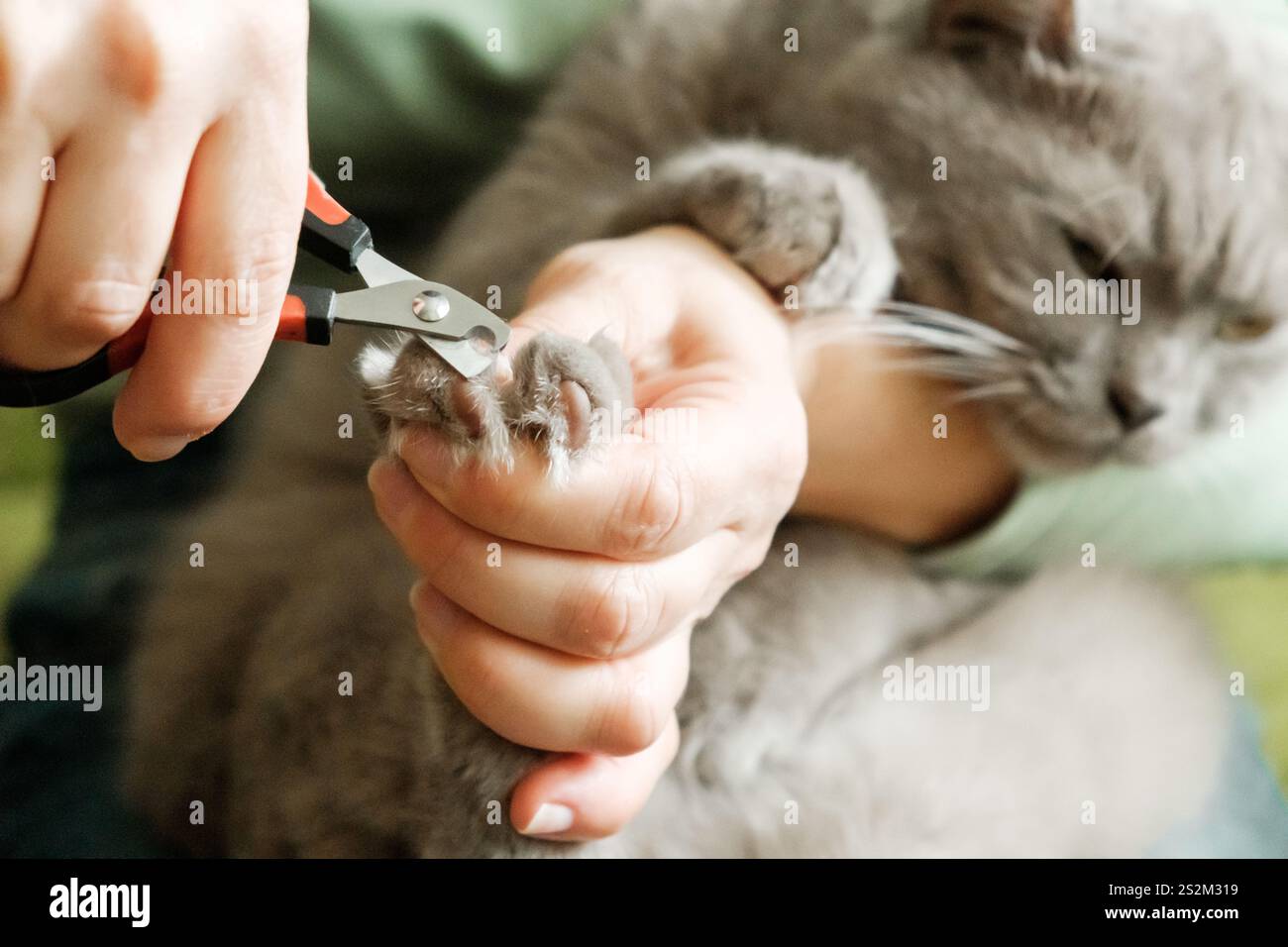 Woman cuts claws cute hi-res stock photography and images - Alamy