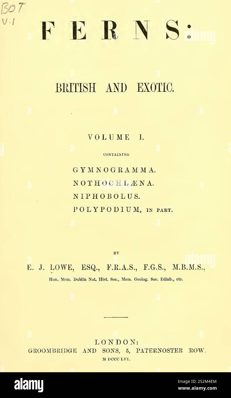 Ferns. British and Exotic. Vol. 1, 1856 - Edward Joseph Lowe (title ...