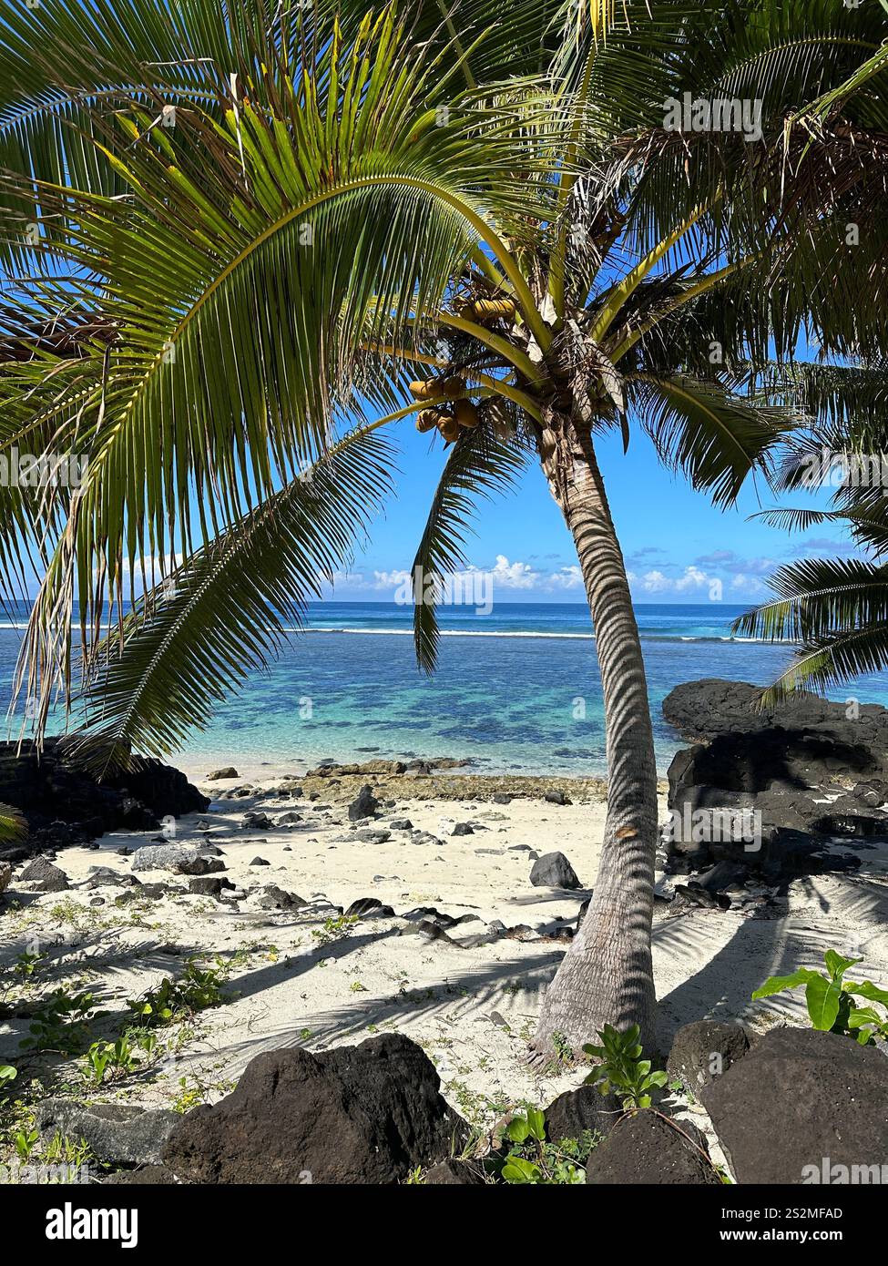 Western samoa landscape hi-res stock photography and images - Alamy