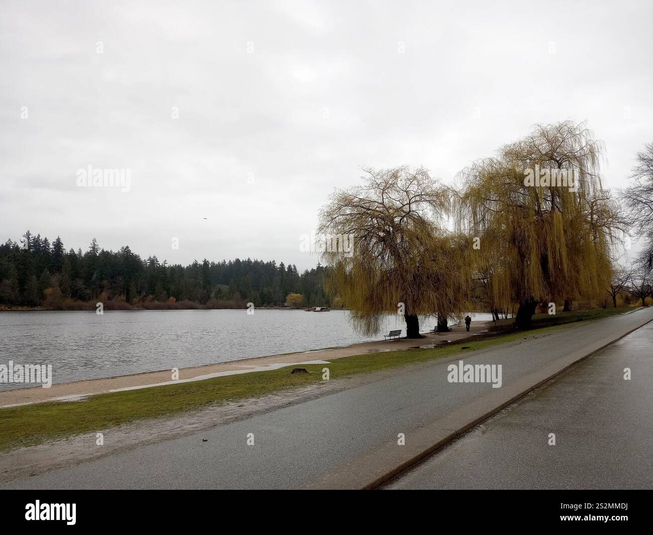 Stanley Park Vancouver's largest urban park with scenic views of water ...