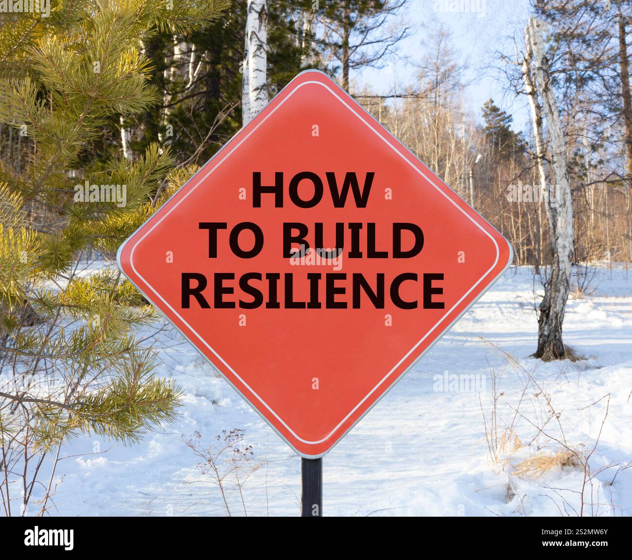 How to build resilience symbol. Concept words How to build resilience ...
