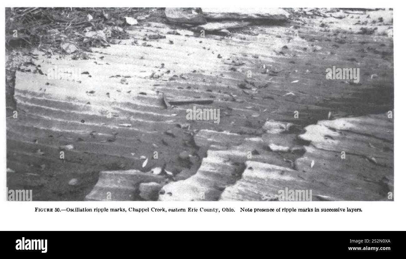 Ripple marks Cut Out Stock Images & Pictures - Alamy