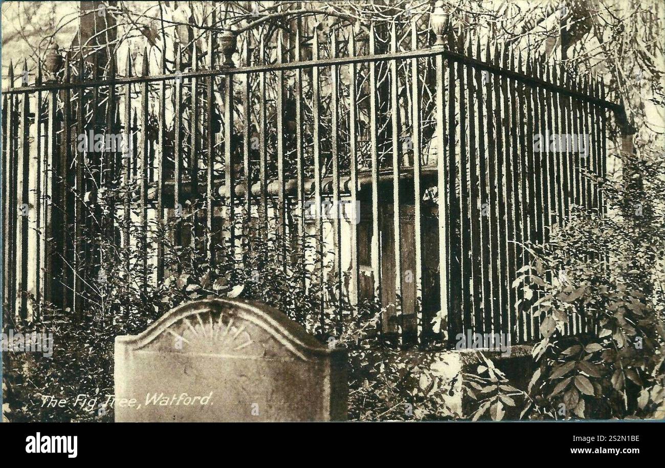 Fig Tree Tomb (7 Stock Photo - Alamy