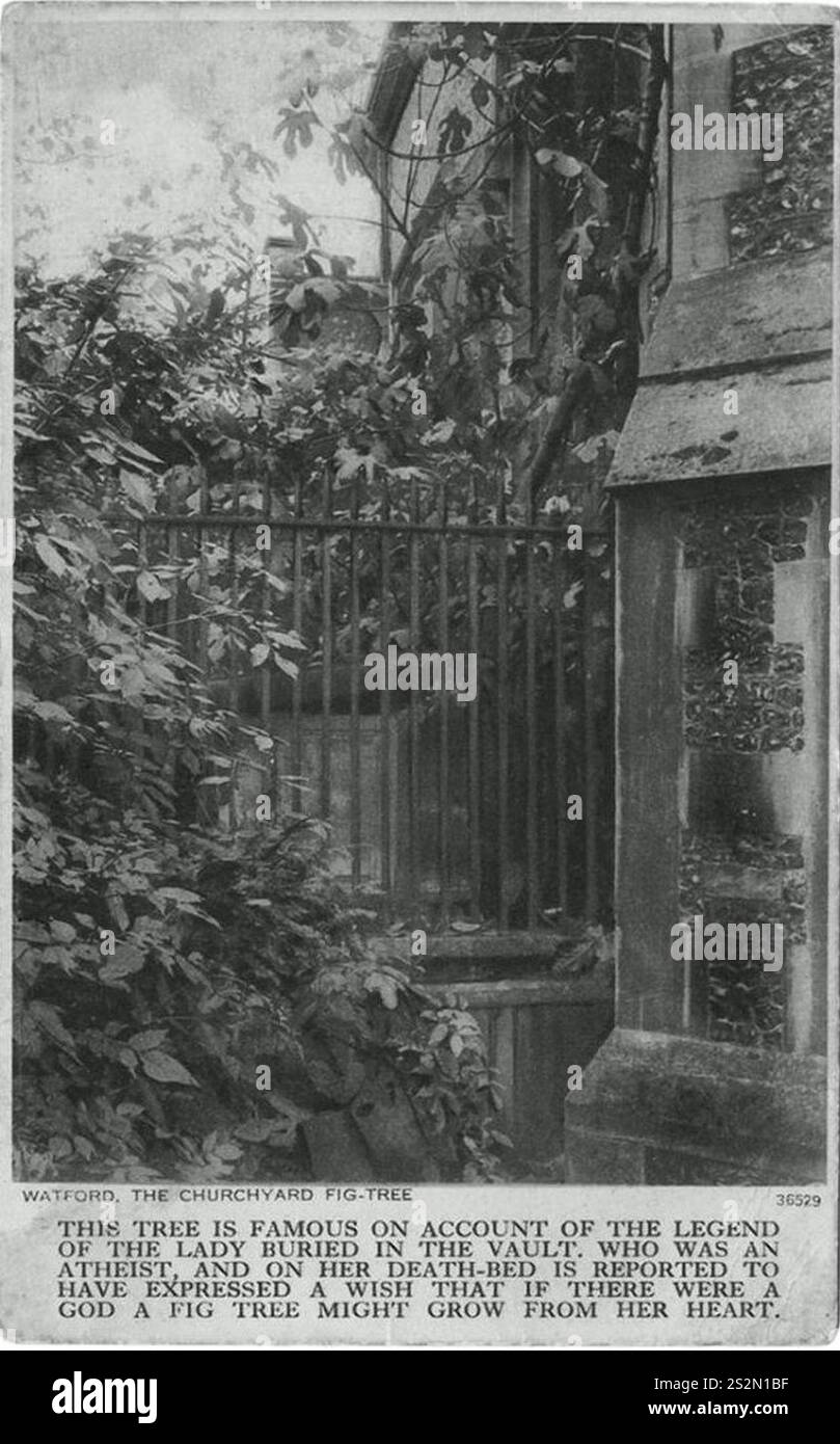 Fig Tree Tomb (4 Stock Photo - Alamy