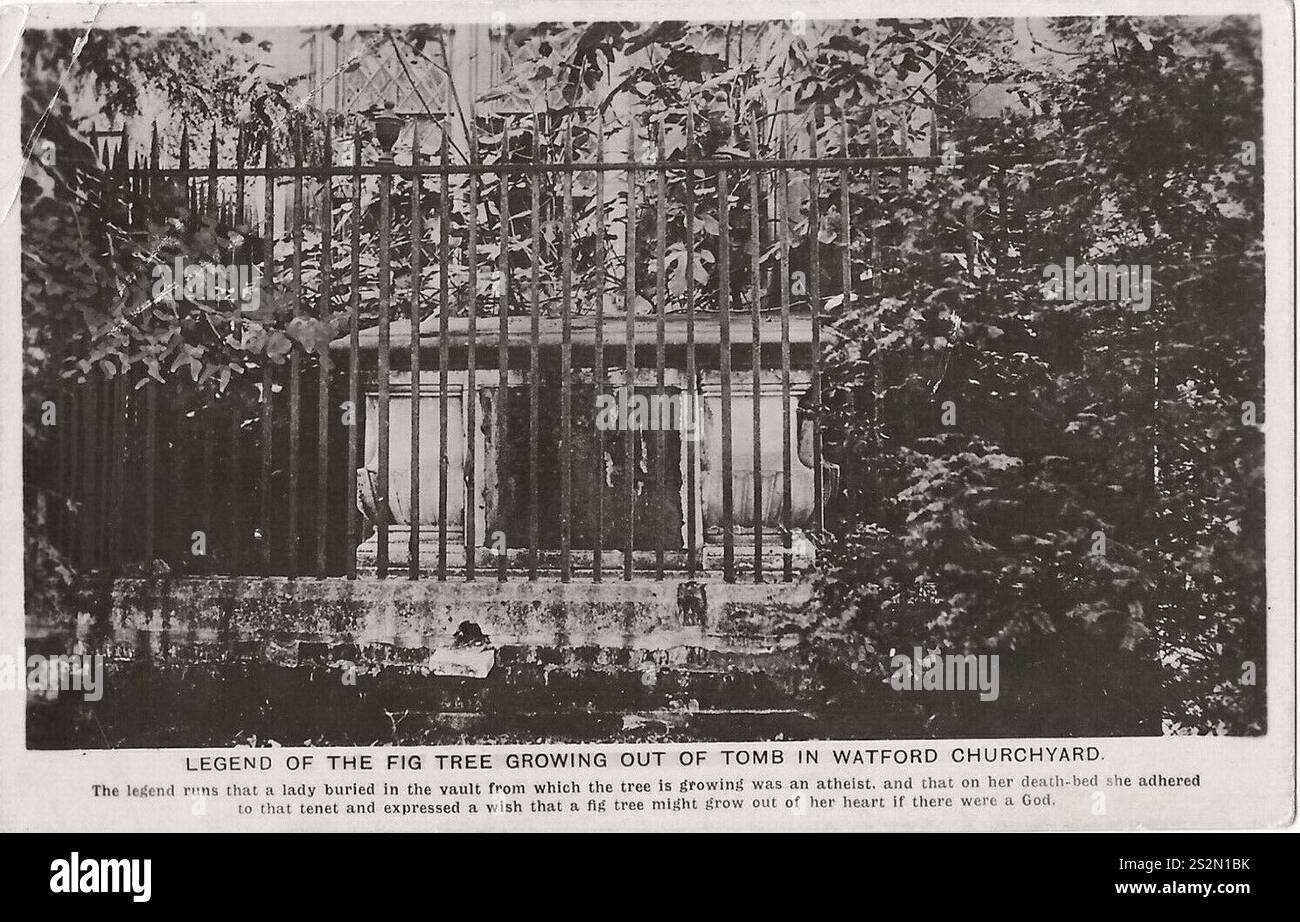 Fig Tree Tomb (2 Stock Photo - Alamy