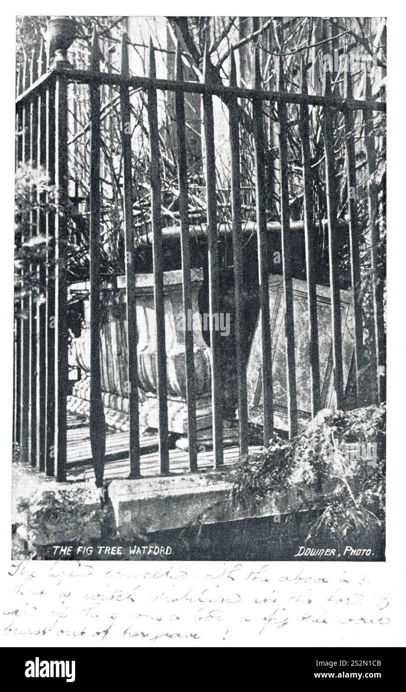 Fig Tree Tomb (9 Stock Photo - Alamy