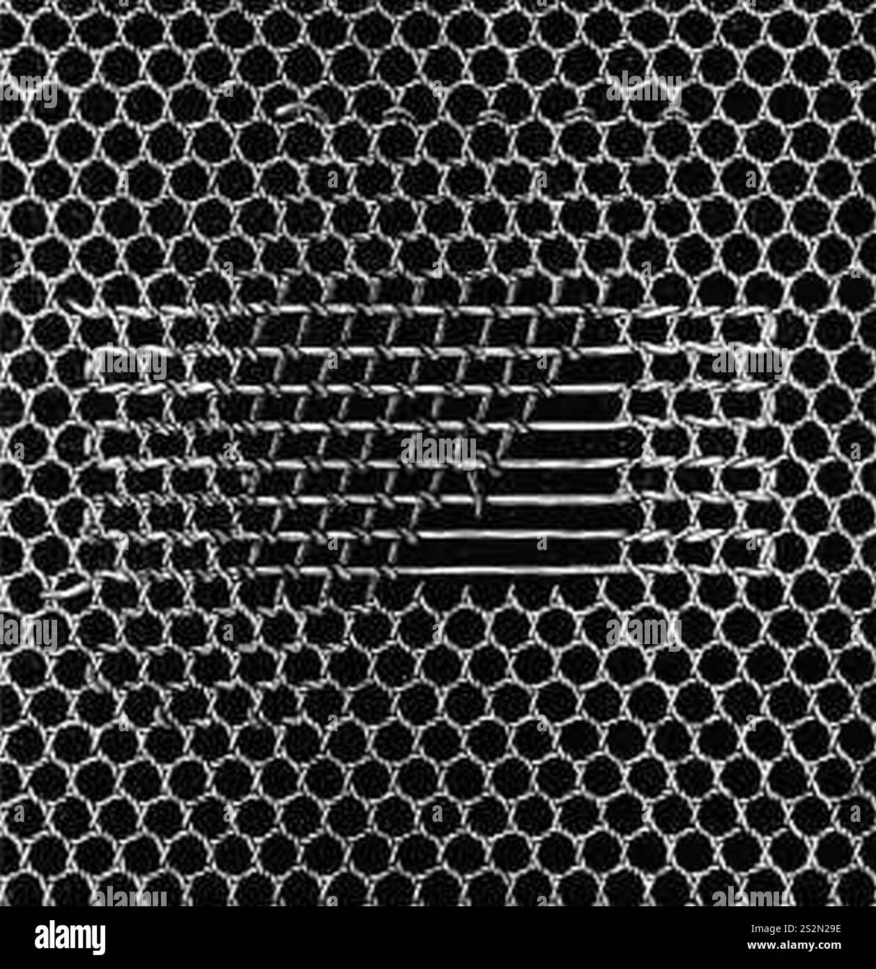 Fig. 140. Net darning. Laying the second thread Stock Photo - Alamy