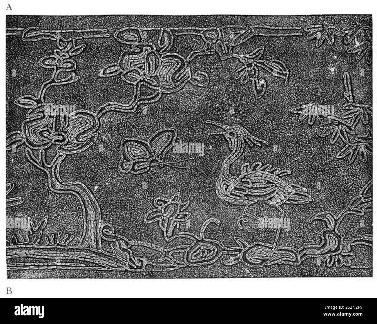 First part Cut Out Stock Images & Pictures - Alamy