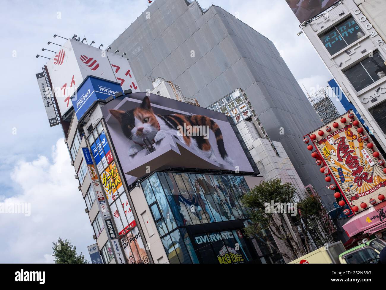 3D Cat Advertising in Shinjuku Tokyo Japan Stock Photo - Alamy