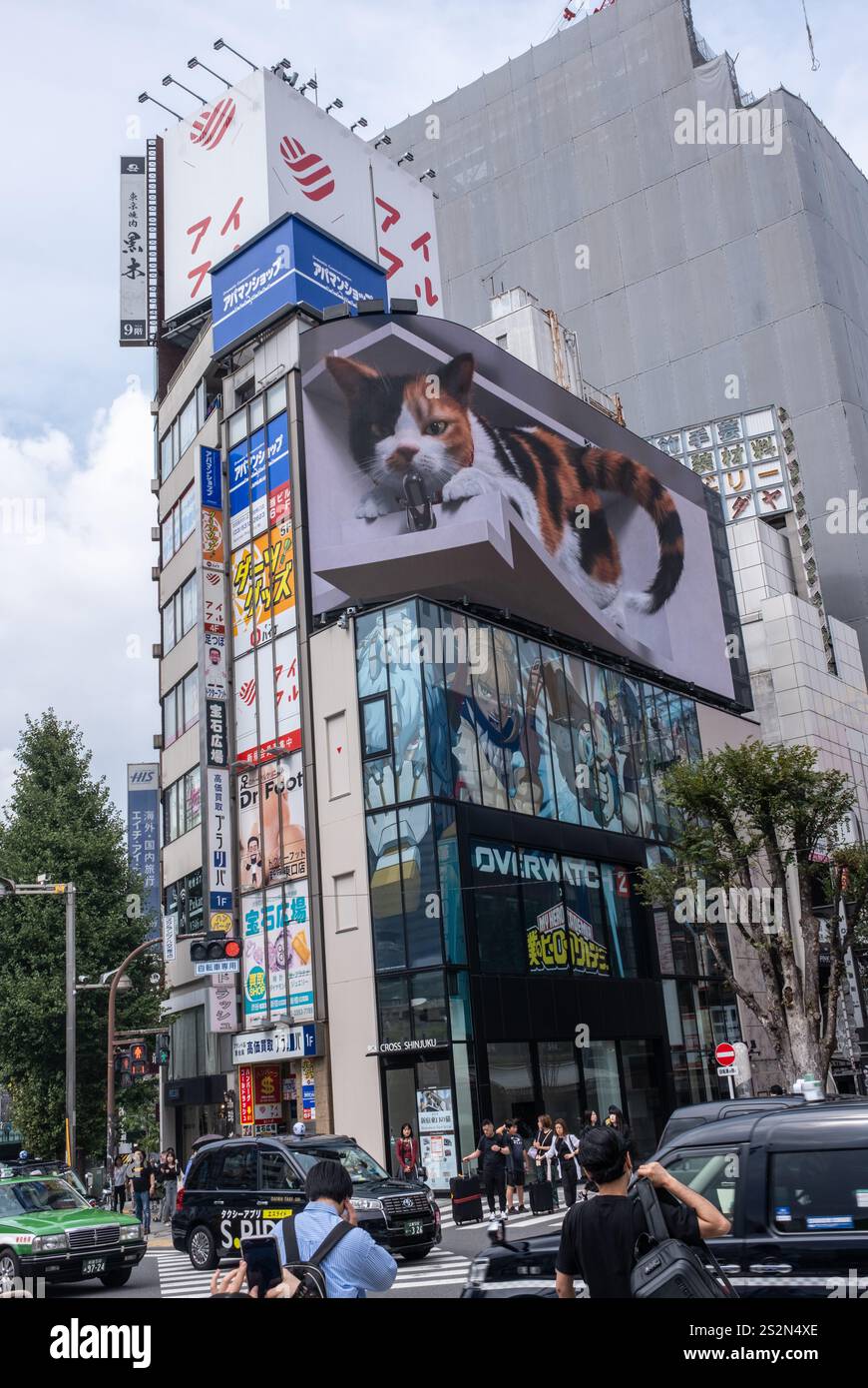 3D Cat Advertising in Shinjuku Tokyo Japan Stock Photo - Alamy