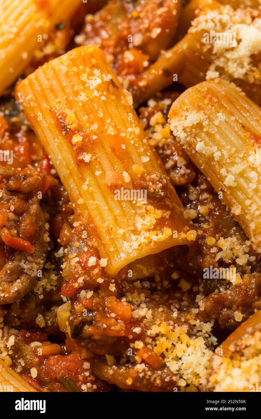 Homemade Mushroom Sausage Ragu Rigatoni Pasta with Cheese Stock Photo ...
