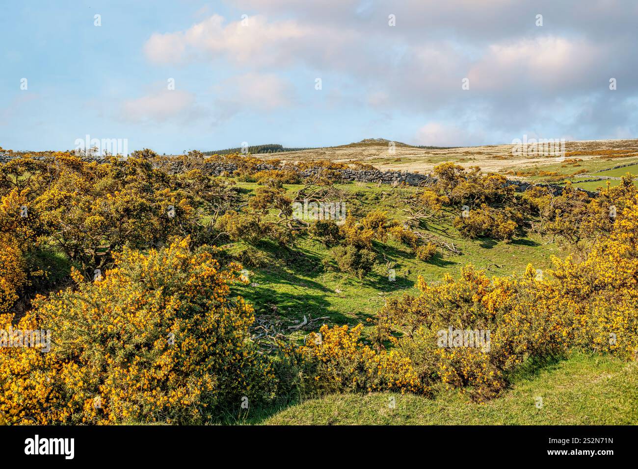 Spring scenery in park hi-res stock photography and images - Alamy