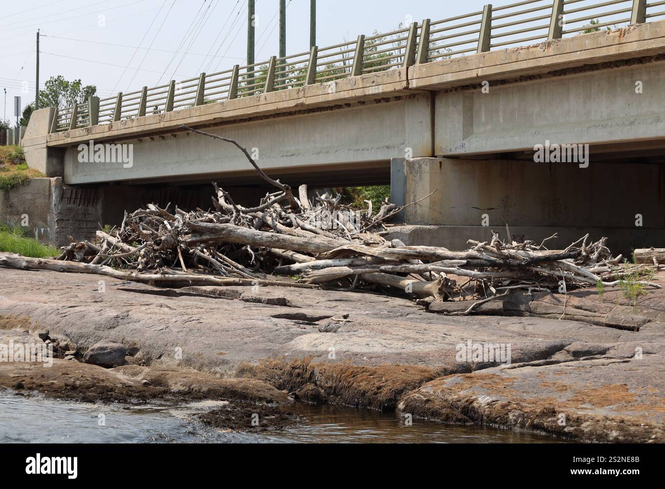 fallen trees stacked up against a bridge piling after flooding Stock ...