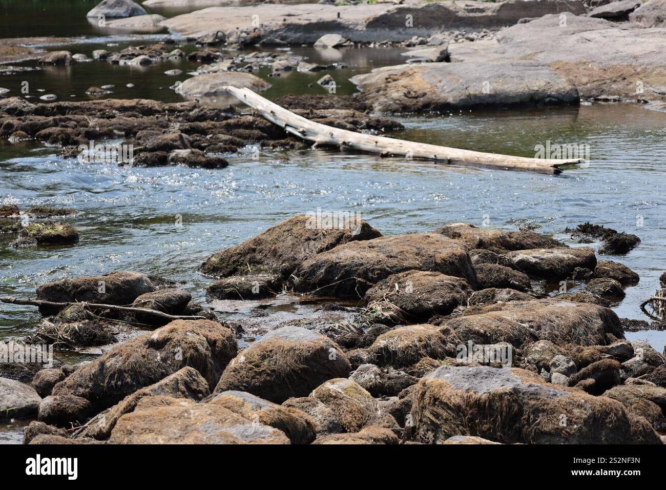 rocks and stranded log left high and dry in shallow river Stock Photo ...