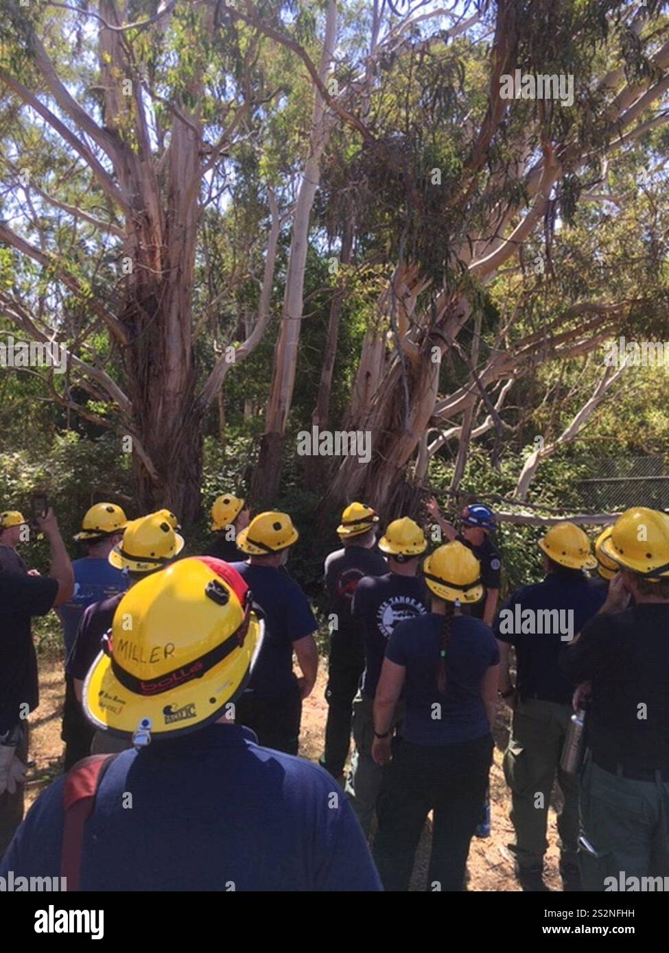 Firefighter briefing hi-res stock photography and images - Alamy