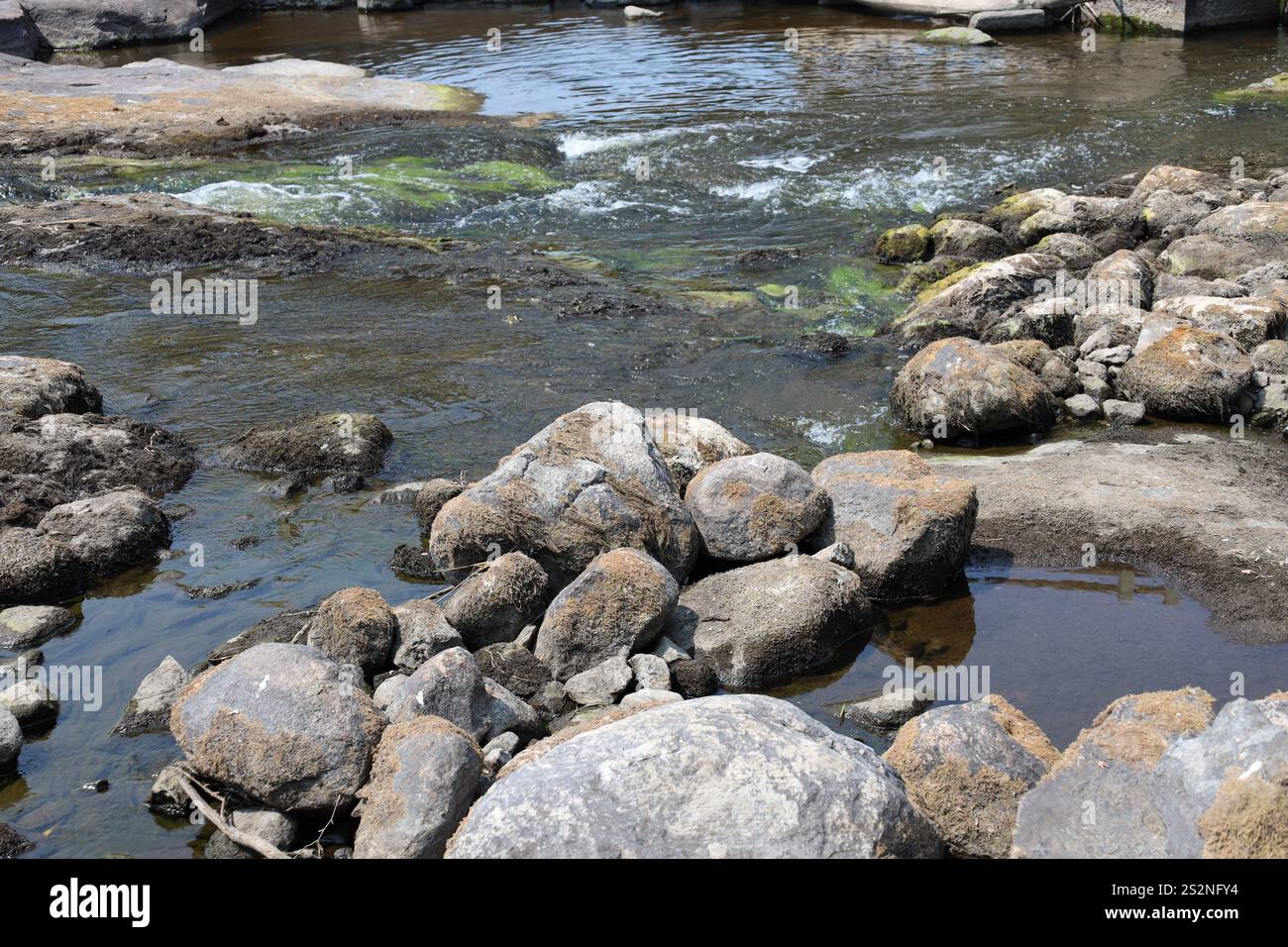 Water surface in shallow river hi-res stock photography and images - Alamy