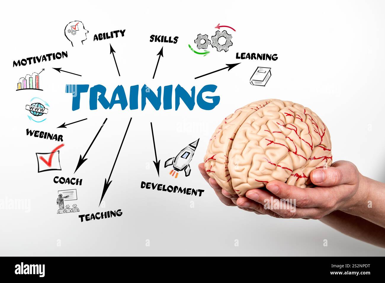 Training. Motivation, Skills, Development and Webinar concept. Chart ...