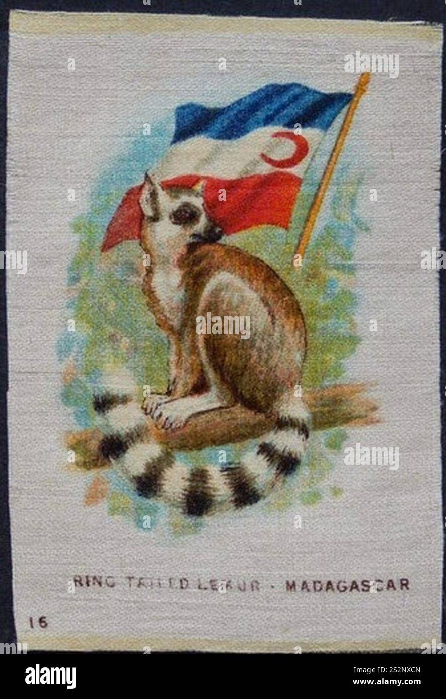 Flag of the French protectorate of Madagascar in art 04 Stock Photo - Alamy