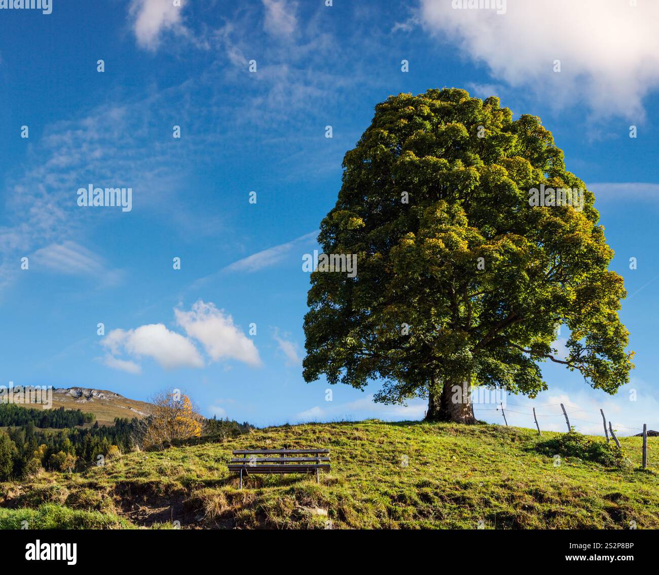 Sunny idyllic autumn alpine scene. Peaceful misty morning Alps mountain ...