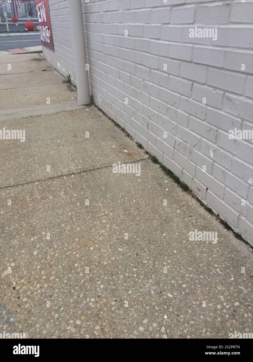 Bonfire moss (Funaria hygrometrica Stock Photo - Alamy