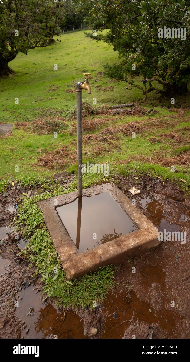 An outdoor water tap with a square concrete base, surrounded by a muddy ...