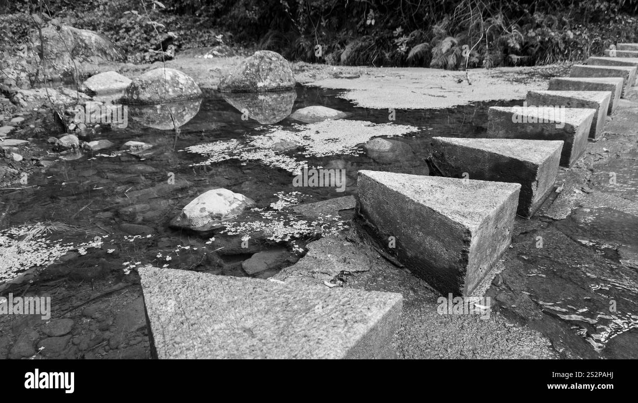 A black-and-white photo of a series of triangular stepping stones ...