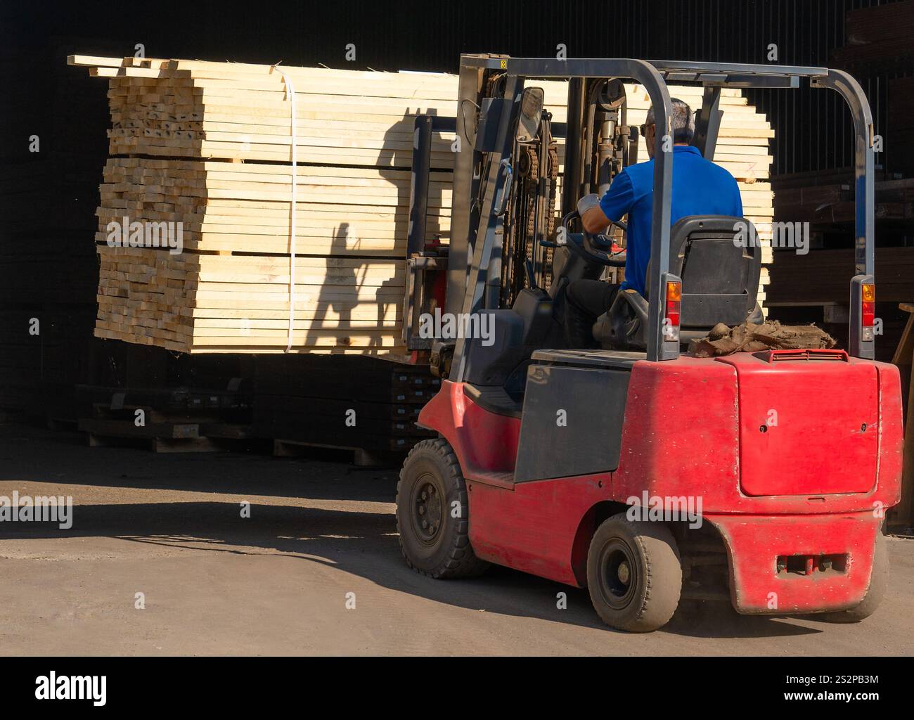 A worker operates a forklift carrying a large quantity of wooden planks ...