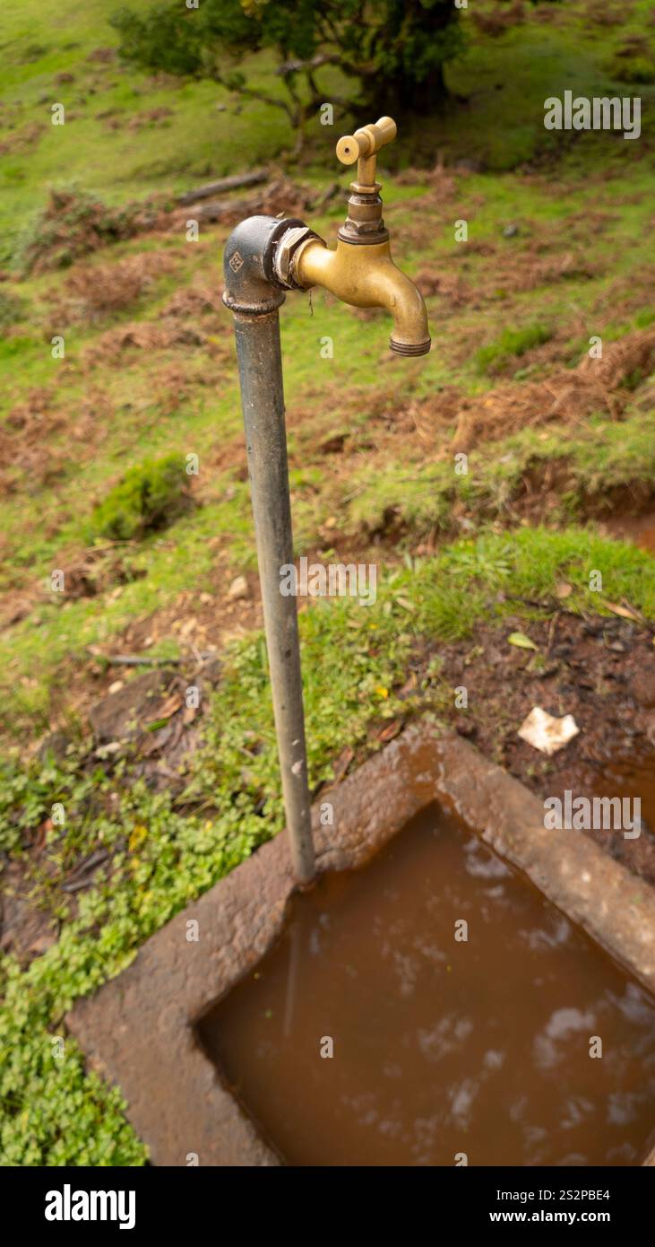 Simple grassy setting hi-res stock photography and images - Alamy