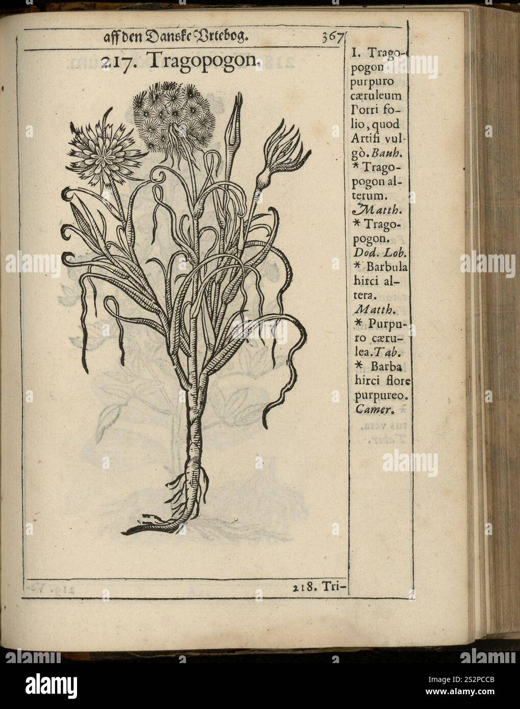 Det 217 hi-res stock photography and images - Alamy