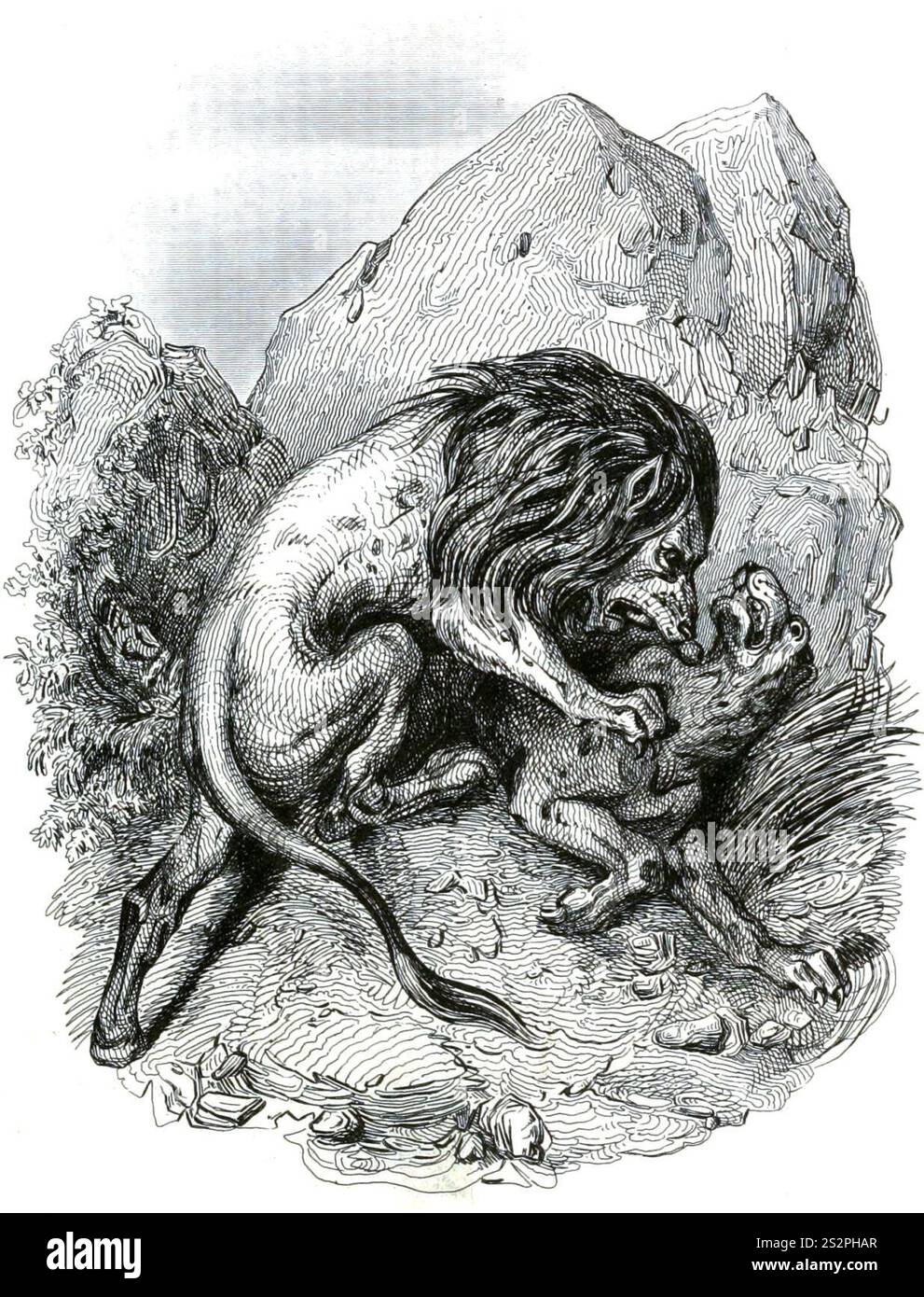 Florian - Fables, illustrations Adam, 1838 p321 Stock Photo - Alamy