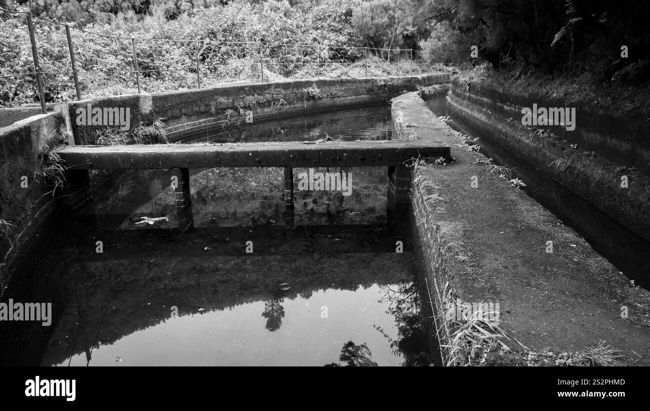 Canal and greenery Black and White Stock Photos & Images - Alamy