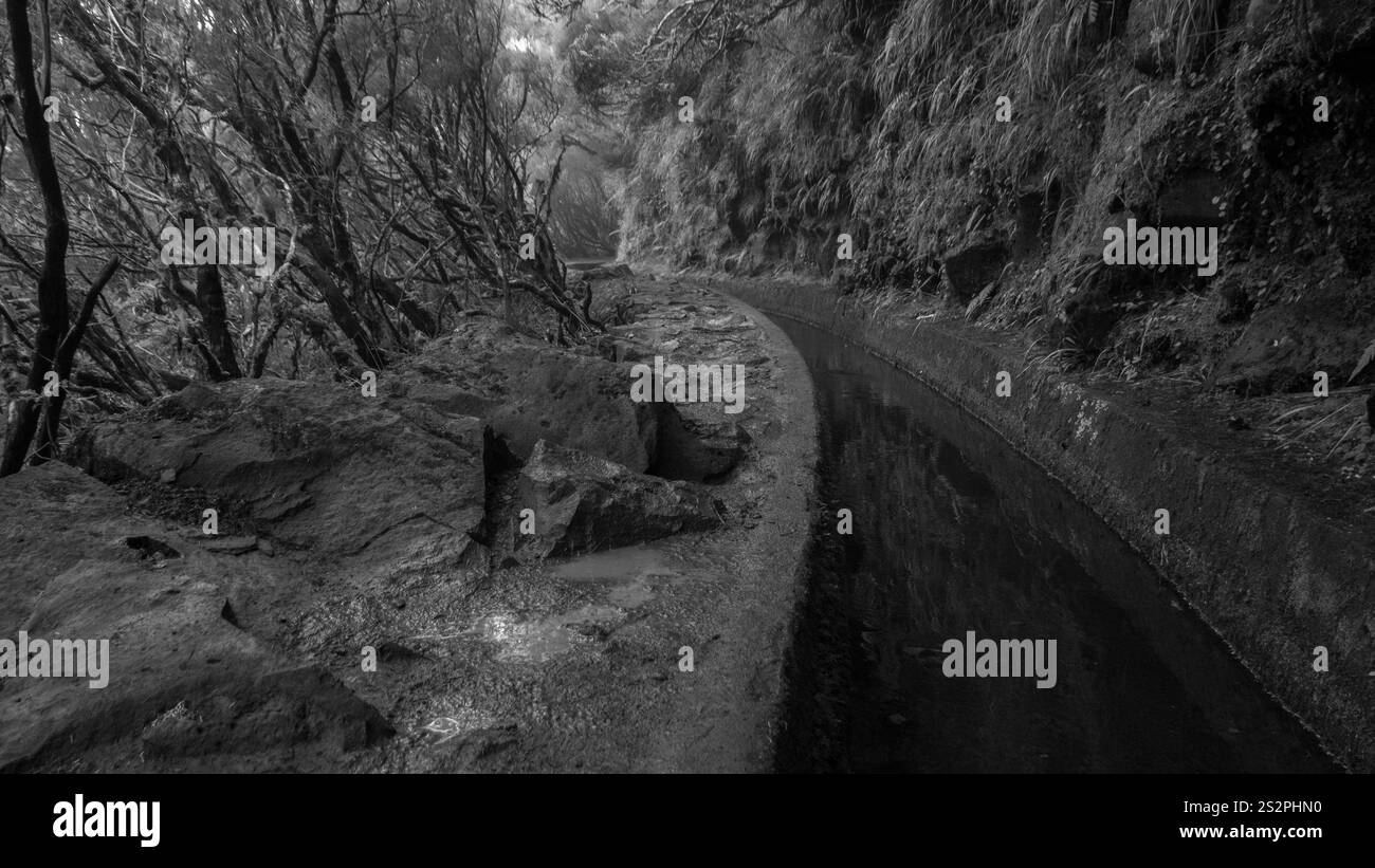 A black-and-white image of a narrow water channel running along a ...