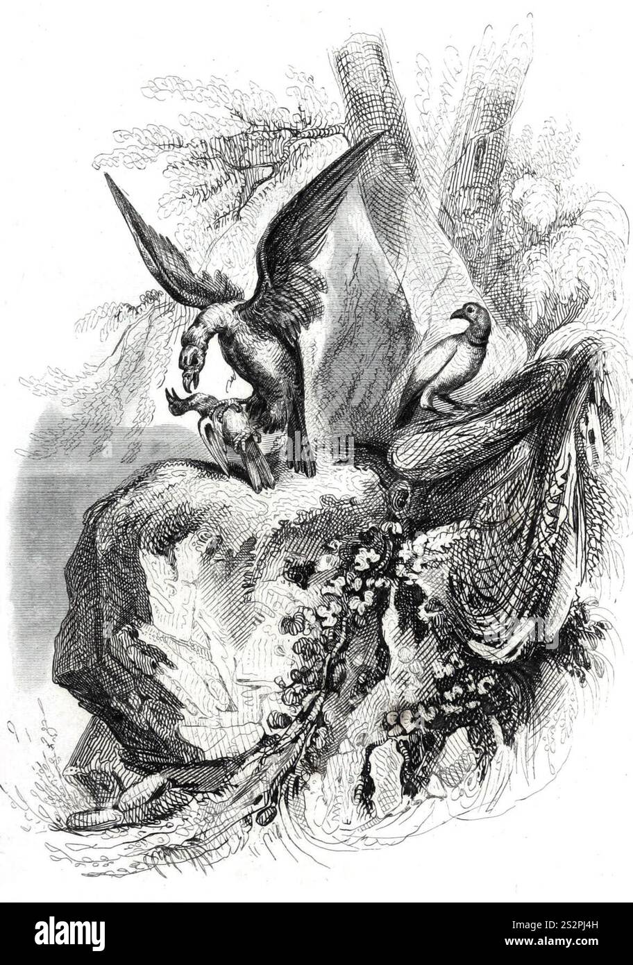 Florian - Fables, illustrations Adam, 1838 p437 Stock Photo - Alamy