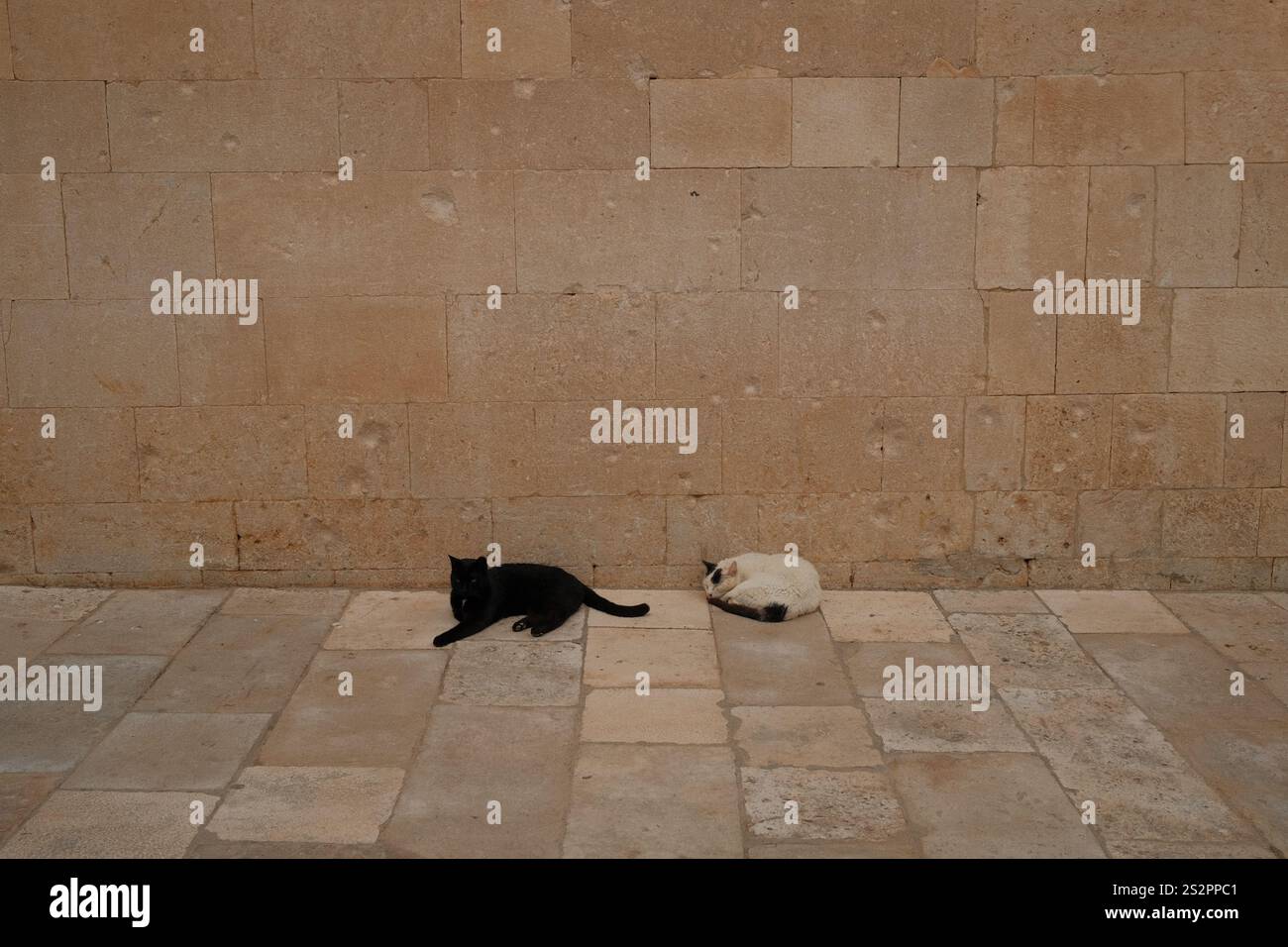 Croatiawall hi-res stock photography and images - Alamy