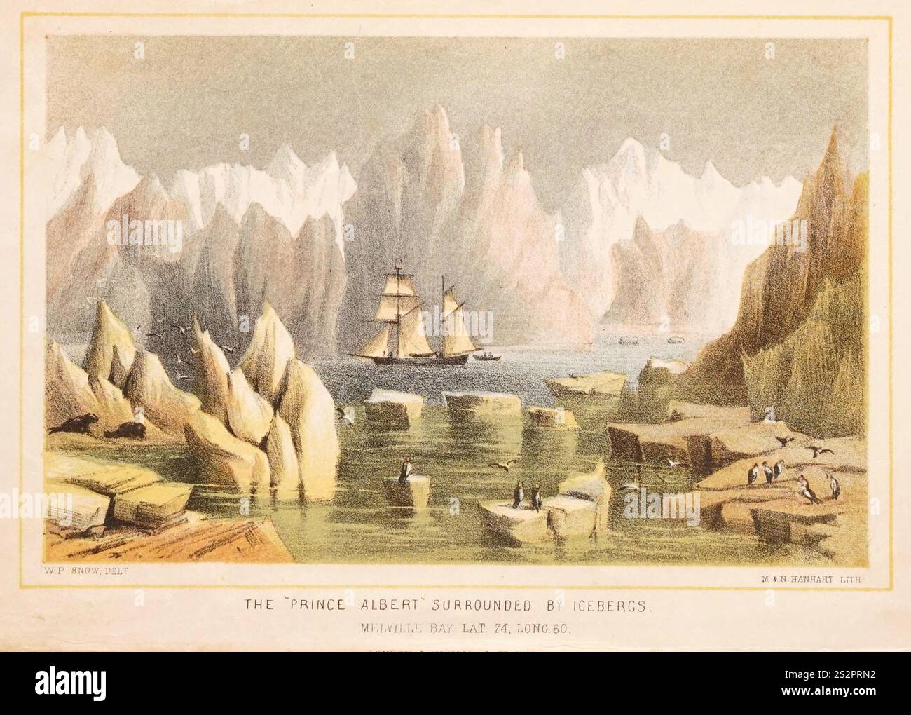 The Prince Albert Ship surrounded by Icebergs. Vintage Lithograph from ...