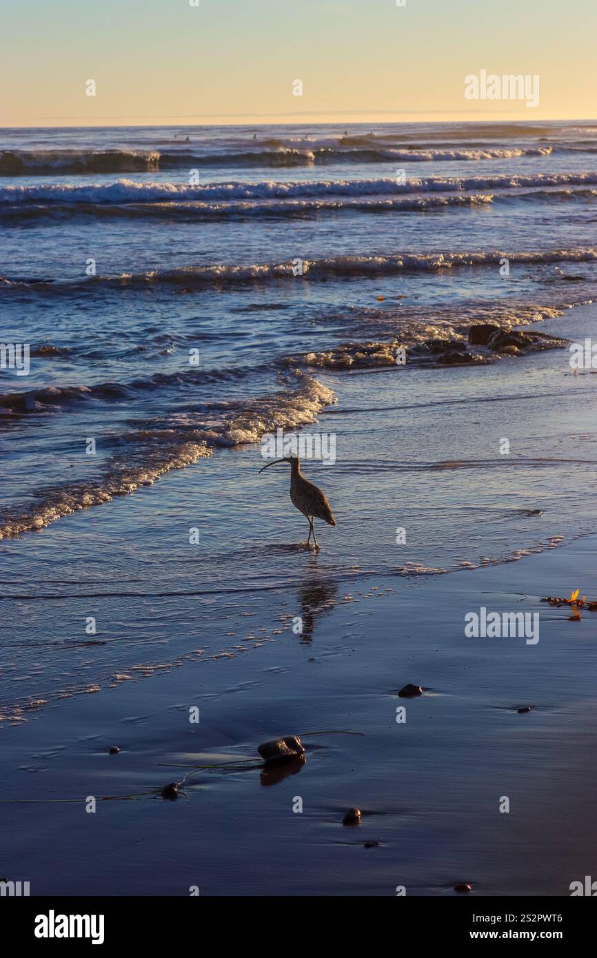 Breathtaking Scenes from the Iconic Santa Barbara Beach, California ...