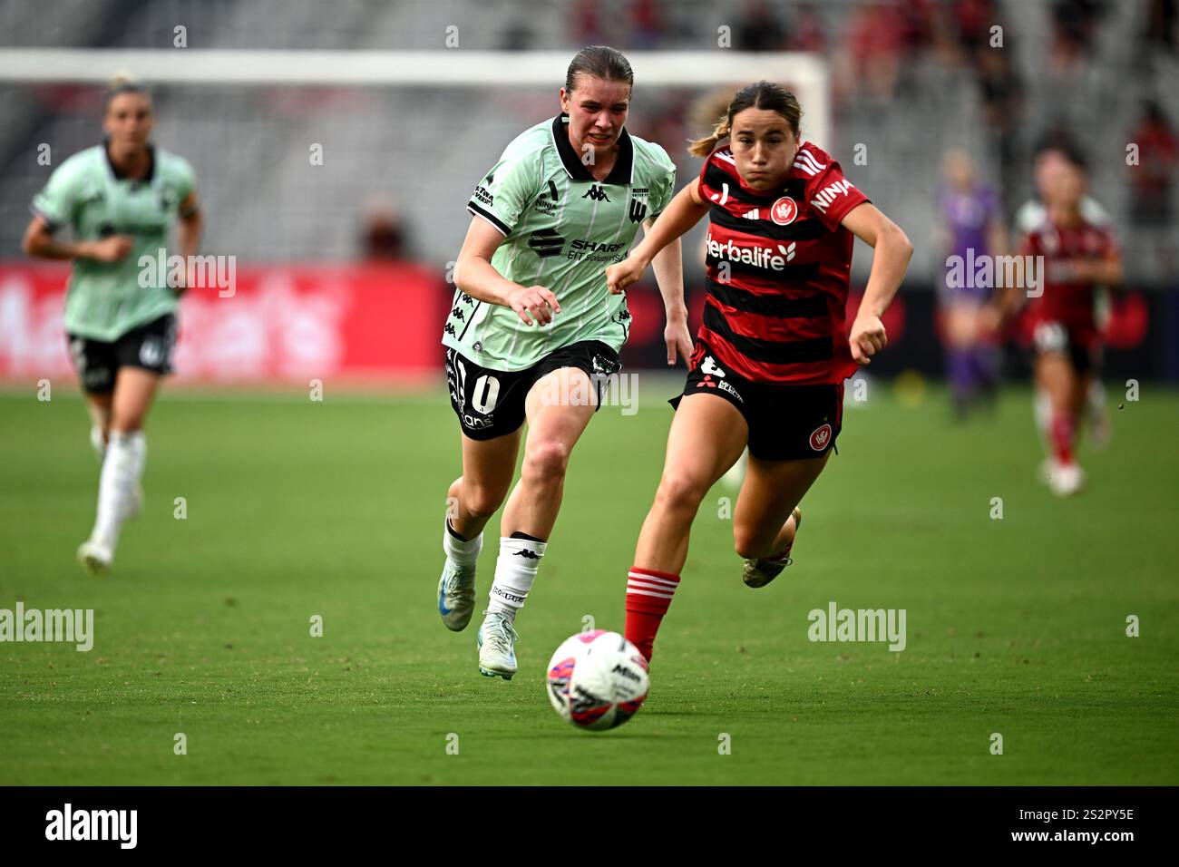 Sydney, Australia. 14th Dec, 2024. Milly Bennett of the Wanderers ...