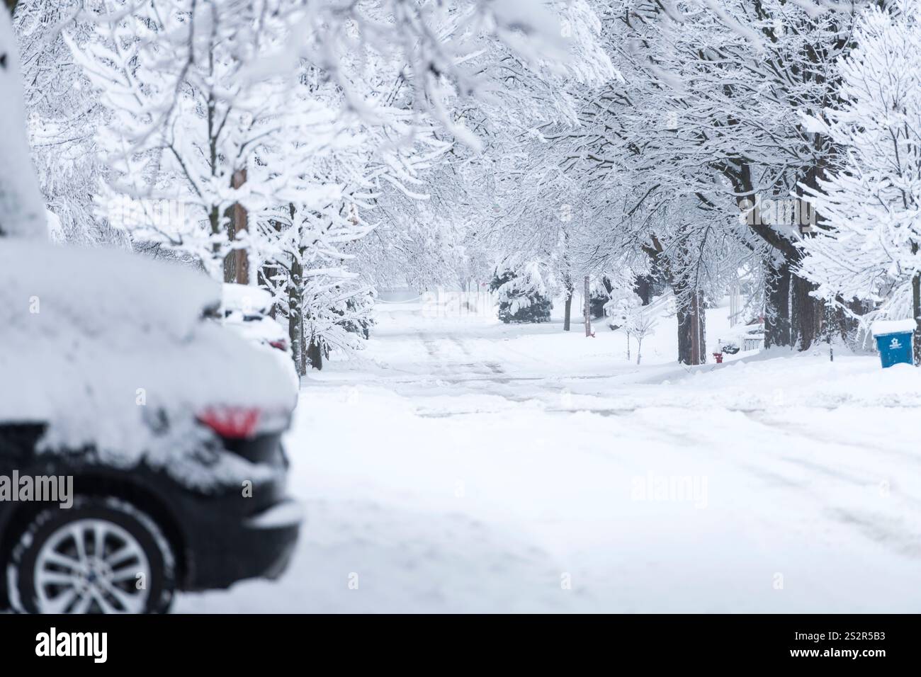 Street scene at first light of the morning after a December snow fall ...