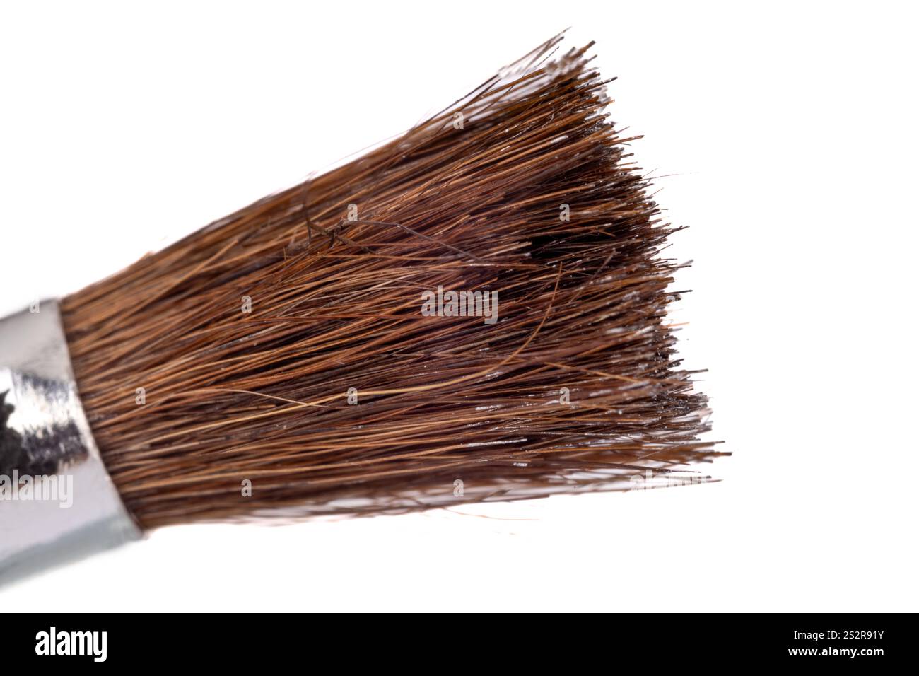 Paintbrush head texture hi-res stock photography and images - Alamy