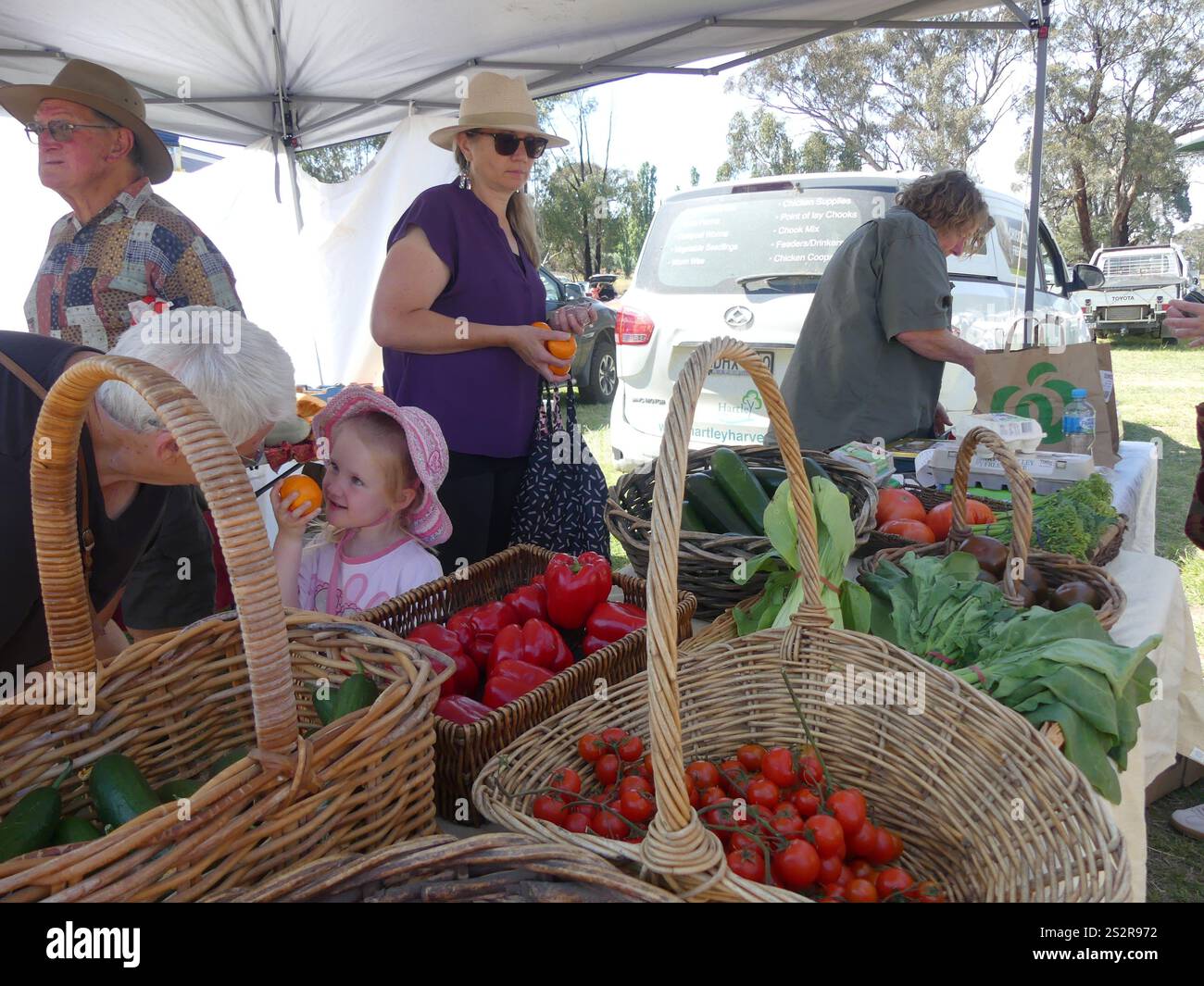 Crowds look at fresh produce, crafts and plants at the Tarana Farmers ...