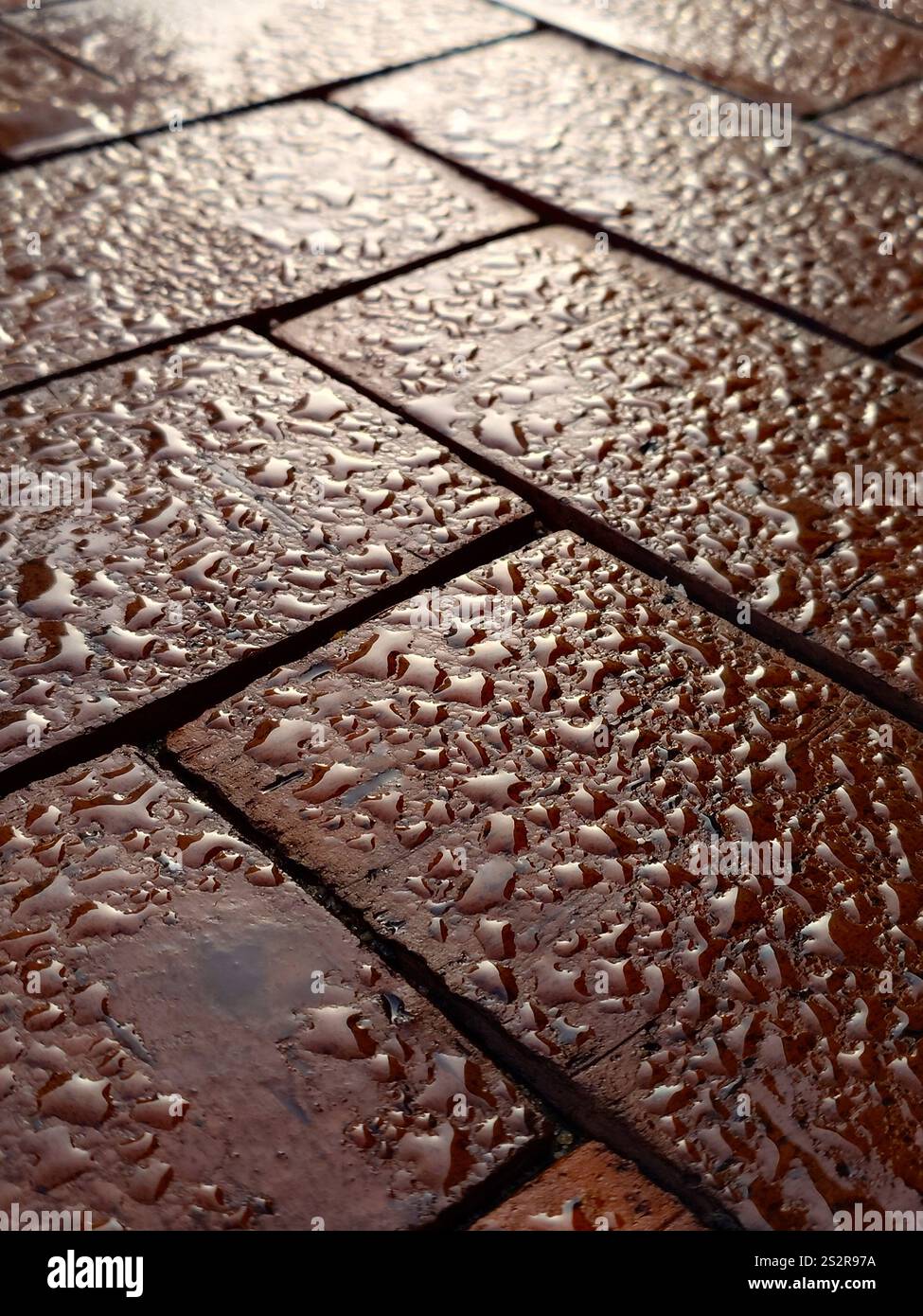 Wet brick pavement with water droplets, highlighting the texture ...